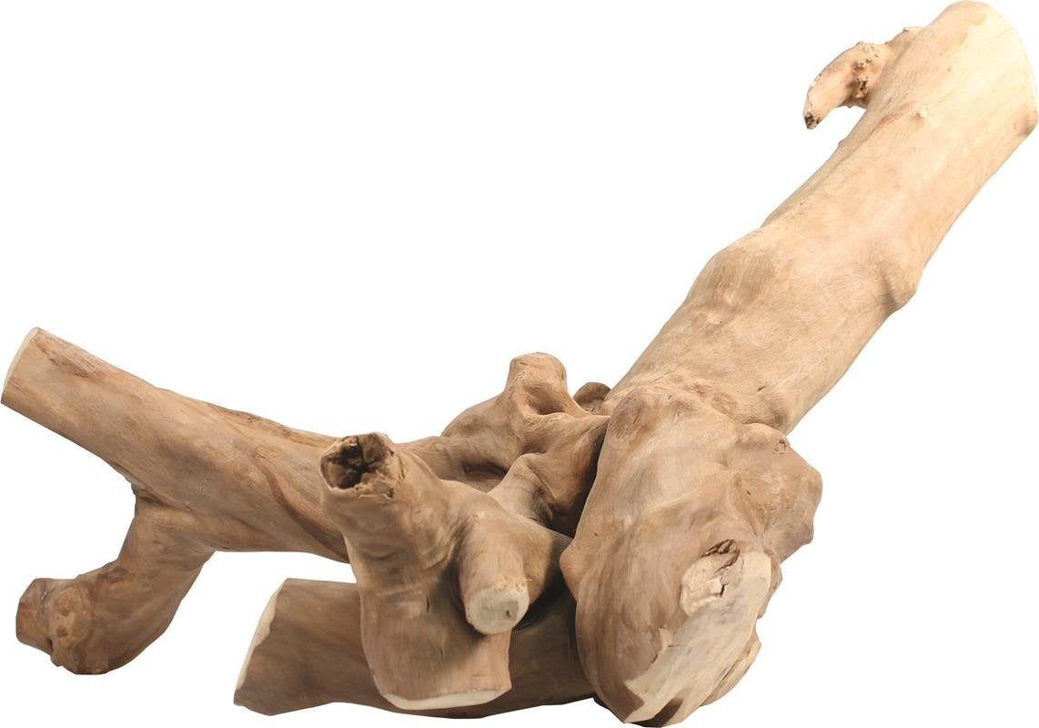 Java Wood Reptile Branch — DBDPet