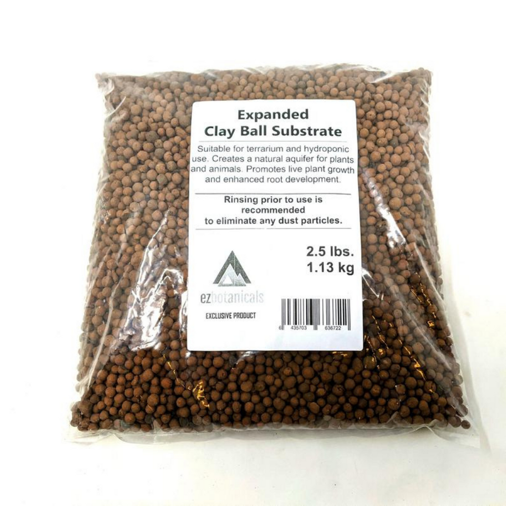 DBDPet | One Stop Online Reptile Shop | The Reptile Professionals