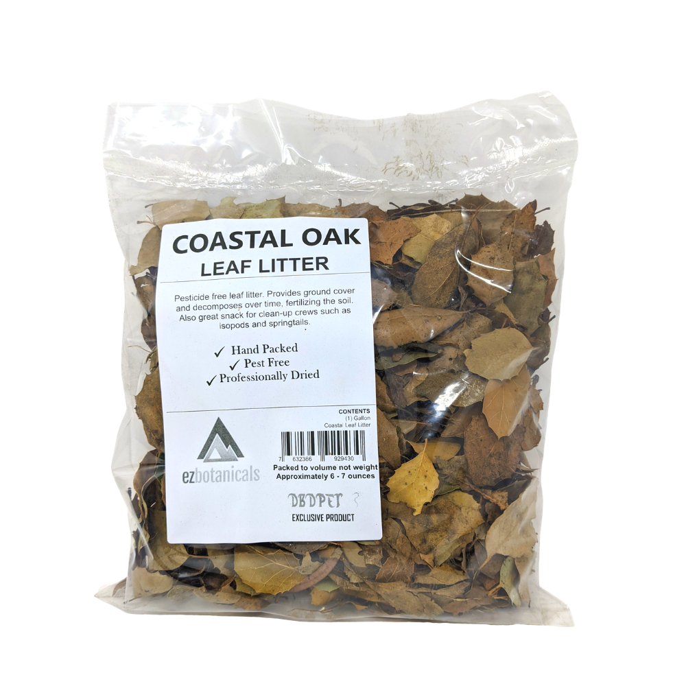Live Oak Leaf Litter — DBDPet